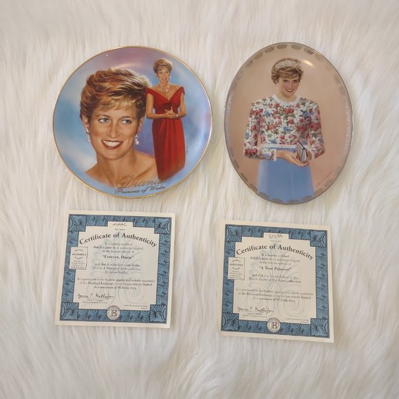 Wall Decor | Princess Diana Collector Plate Lot Of 2 | Poshmark